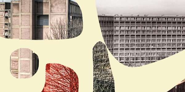 In Their Place by Stephen Crossley - Libreture