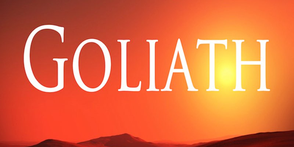 GOLIATH: A Ryan Mitchell Thriller by Richard Turner - Libreture